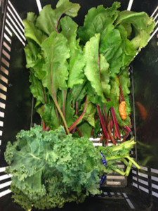 The Best Juice to Improve Your Memory — Anne Cohen Writes