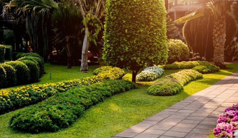 Five Best Landscape Design Ideas to Try in 2020 — Anne Cohen Writes