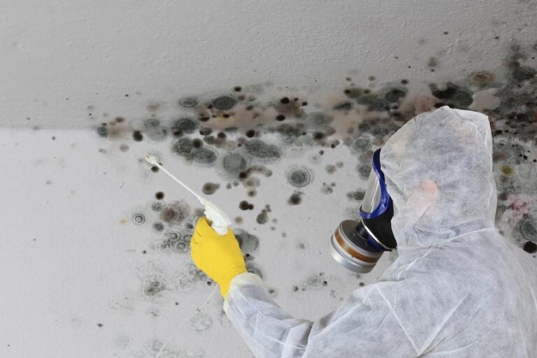 5 Dangerous Types of Mold You Need to Watch for in Your Home — Anne ...